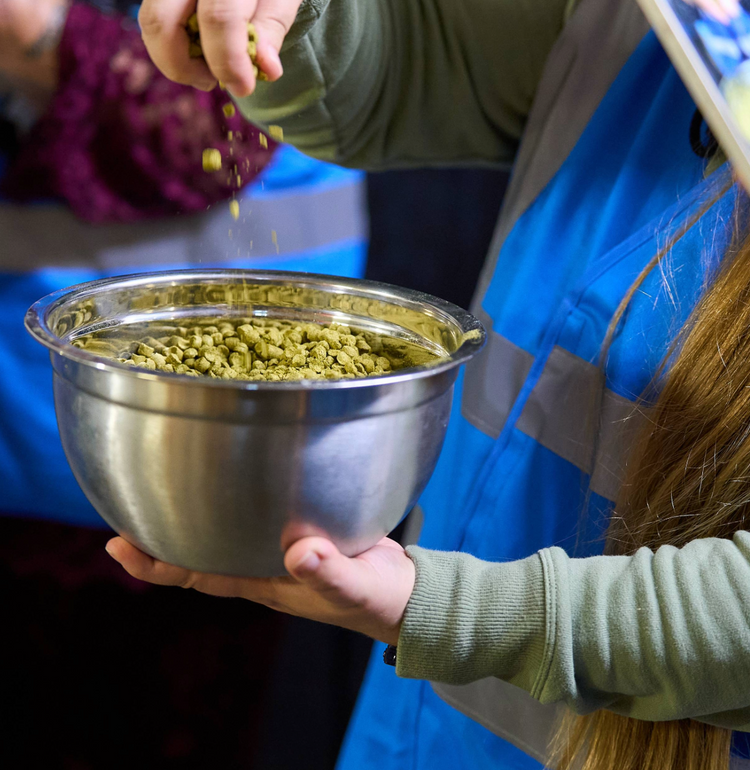 Hicks Bar, Tours & Brewery Shop | Visit St Austell Brewery