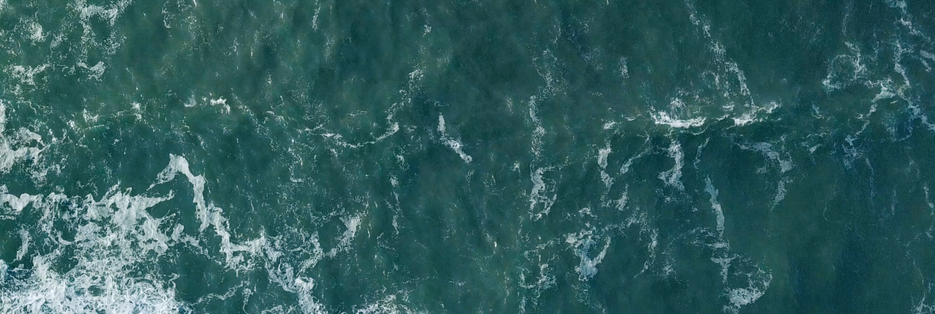 Hicks Bar, Tours & Brewery Shop | Visit St Austell Brewery